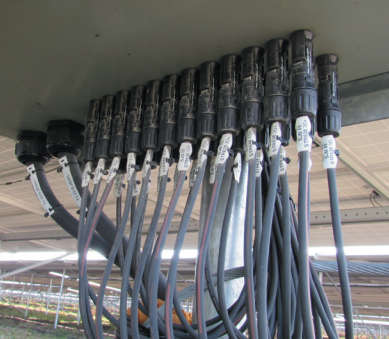 INDUSTRY - Cactus, professional wire harness factory.